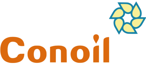 Our Company – MIT Verification Services